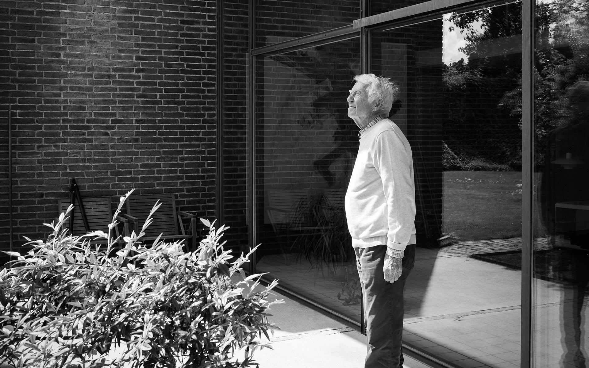 Knud Holscher collection | d line